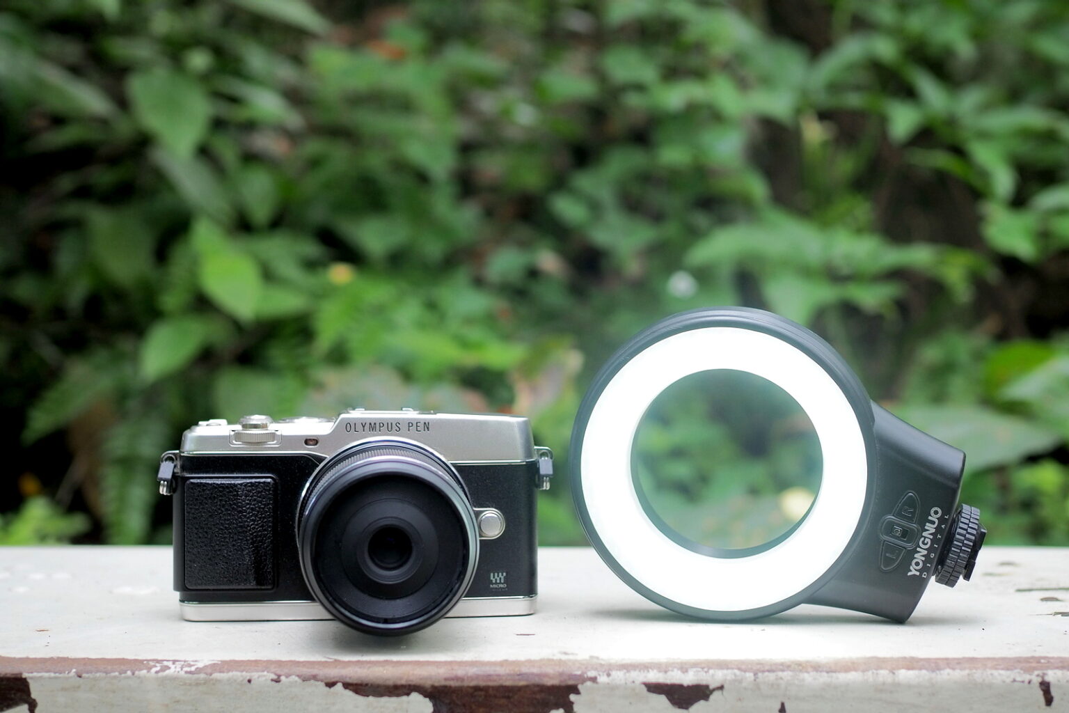 Advantages of Using a Ring Light - FotoLog