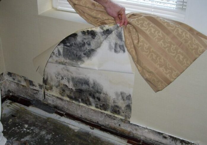 6 Ways to Find Hidden Mold in Your House - 2025 Guide - FotoLog