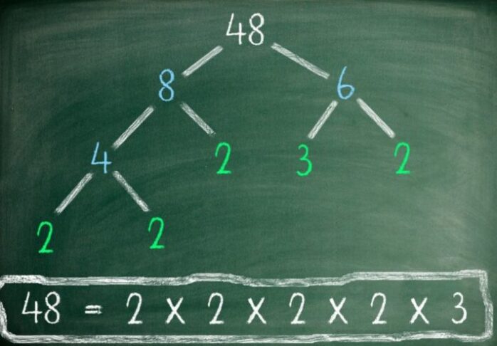 Prime Numbers as Well as Integers Explained - FotoLog