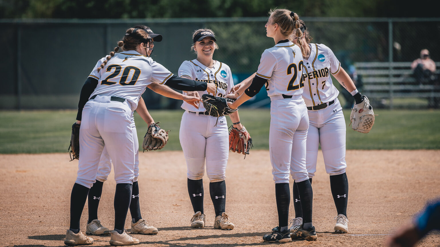 How to Take the Best Softball Team Photo: Tips and Tricks - FotoLog