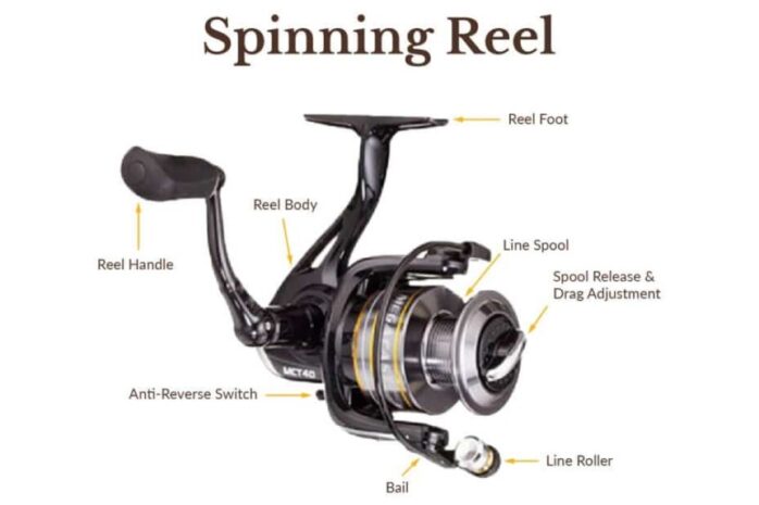 Spinning Reel: A Comprehensive Guide for Anglers - FotoLog
