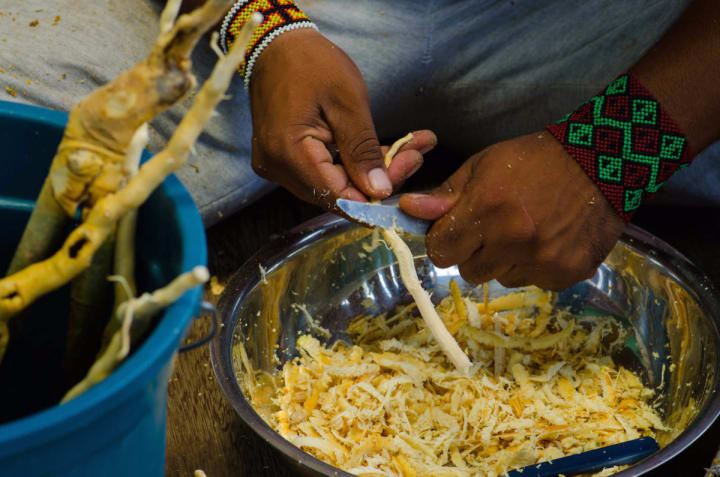 How to Use Sananga: A Guide to Harnessing the Power of Amazonian ...