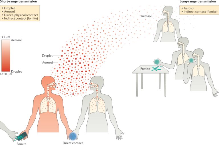A Comprehensive Guide to Respiratory Pathogen Detection Panel: Uncovering the Invisible Threats ...
